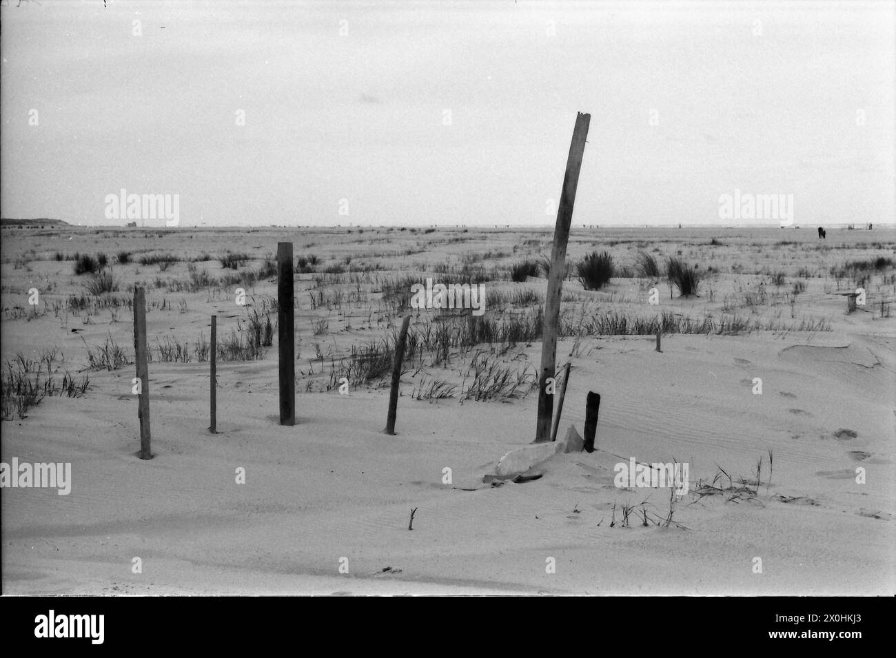 Dune landscape [automated translation] Stock Photo - Alamy