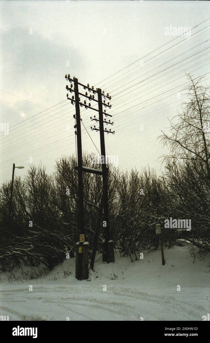 A still wired telegraph pole, that was very rare [automated translation ...