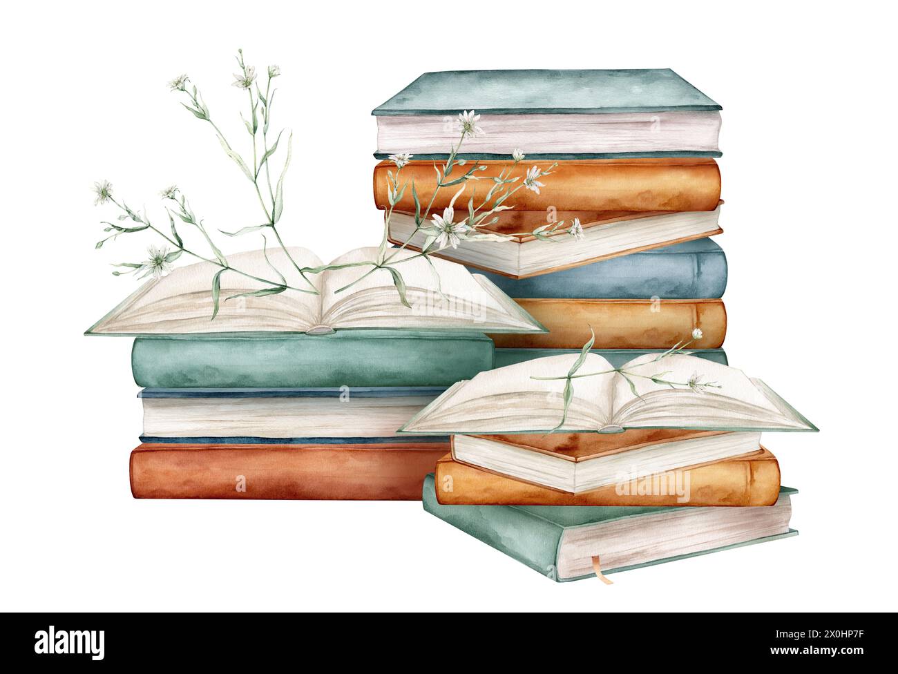 Set of books with plants and white flowers watercolor illustration ...