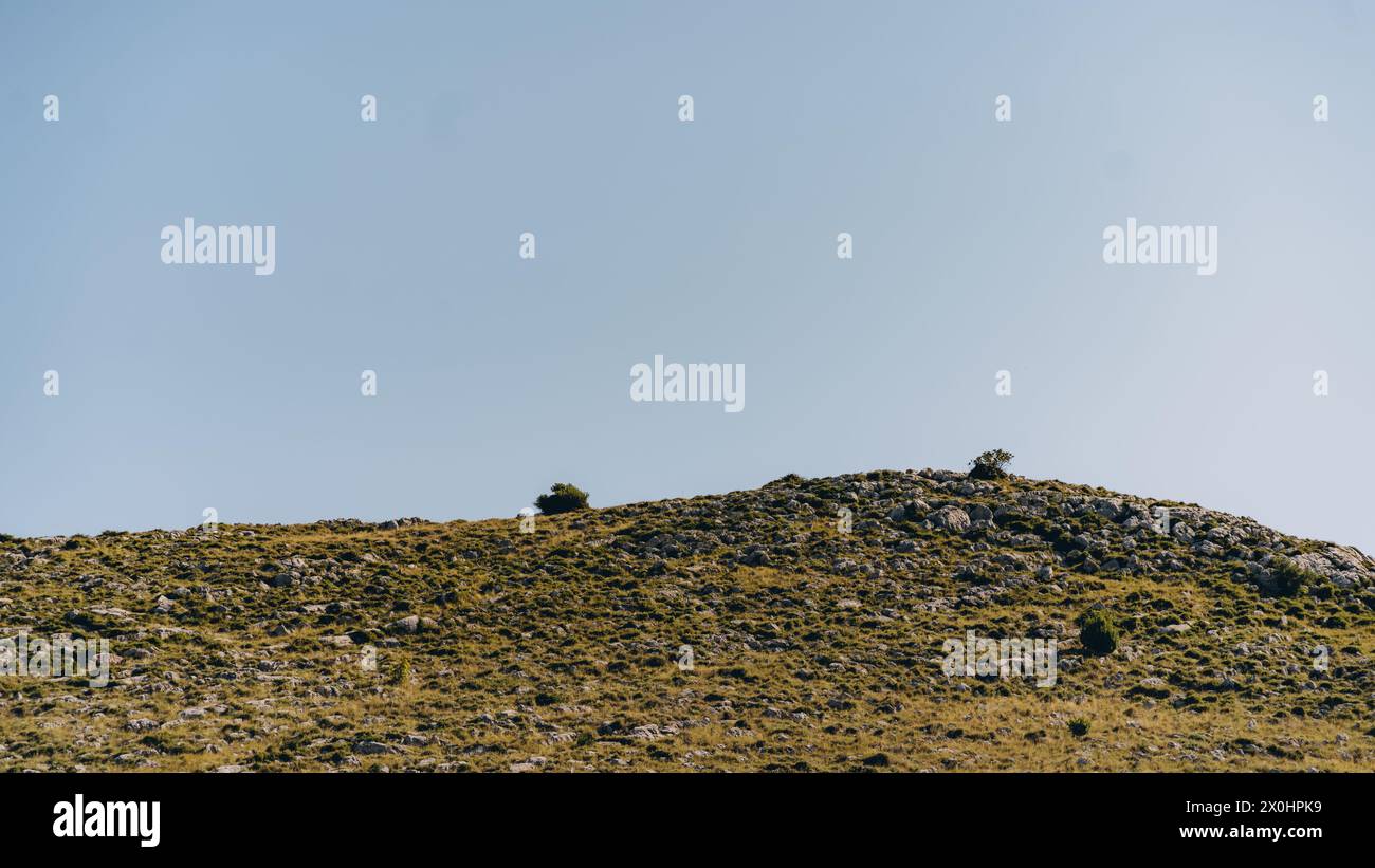 Summer landscape, grassy rolling hill and rocks of Dugi Otok island in ...