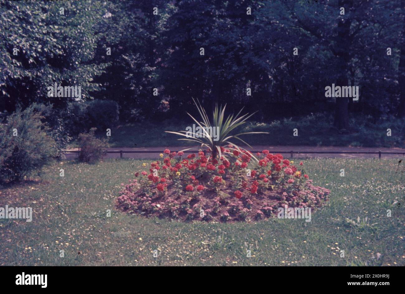 Plant on the Main [automated translation] Stock Photo - Alamy