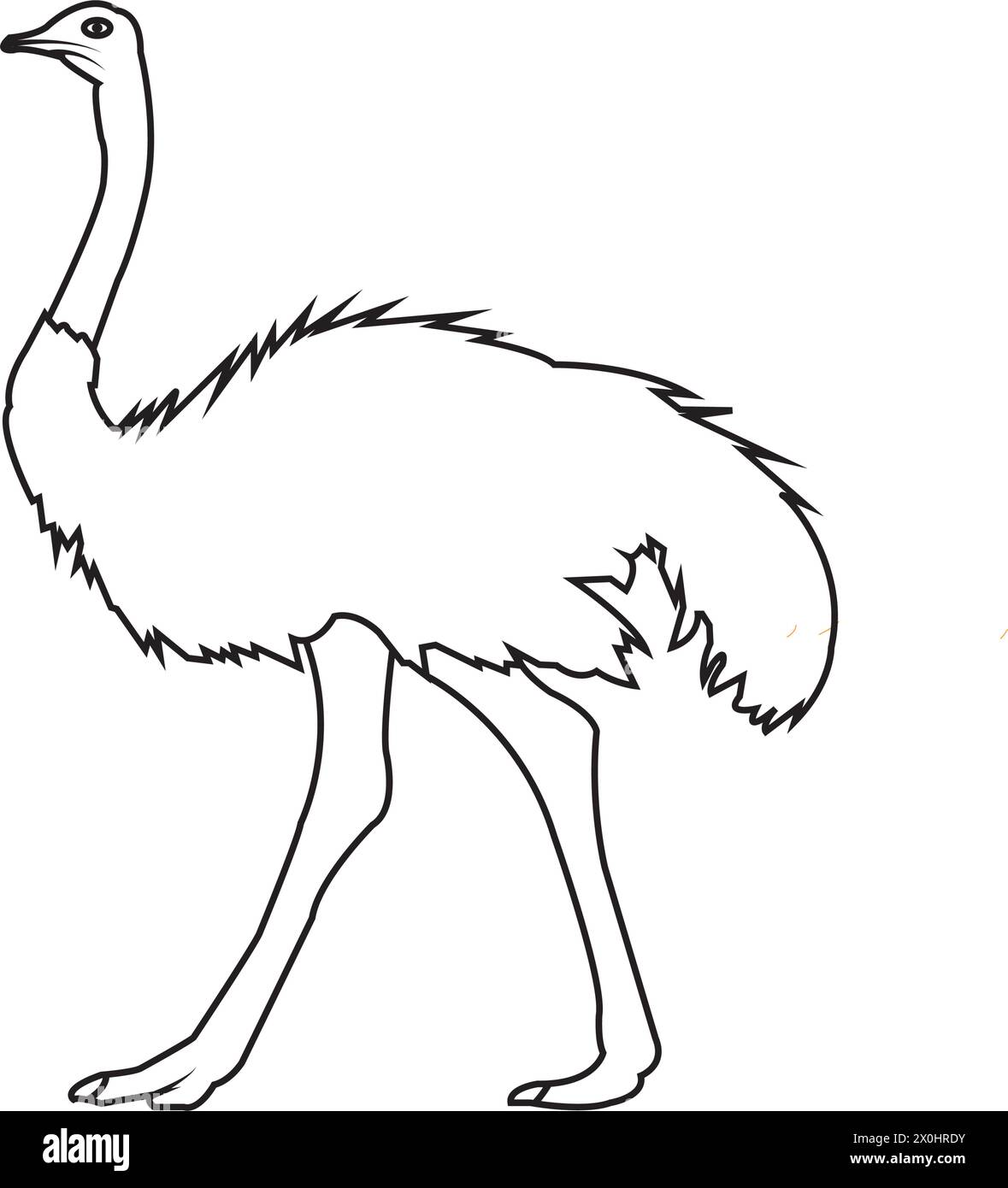 ostrich icon vector illustration simple design Stock Vector Image & Art ...