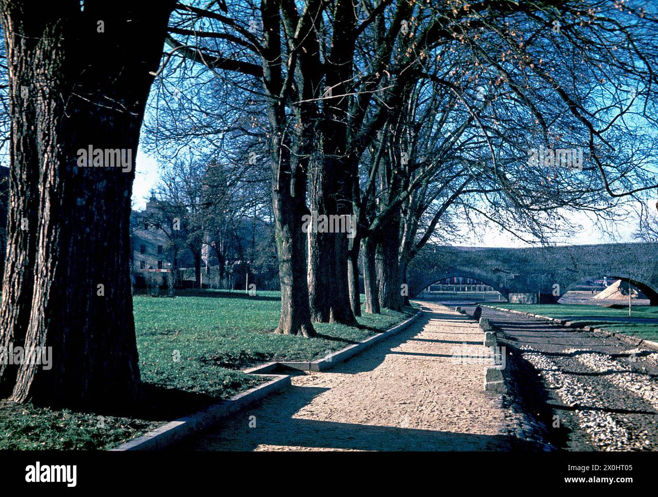 Plant on the Main [automated translation] Stock Photo - Alamy