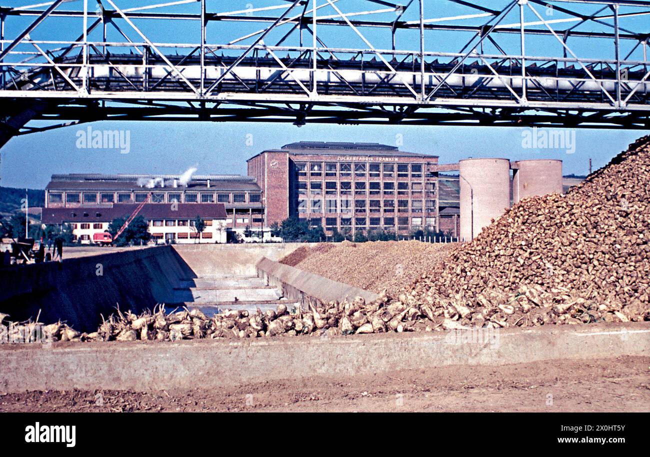 Sugar factory during Rübenkampange. [automated translation] Stock Photo ...