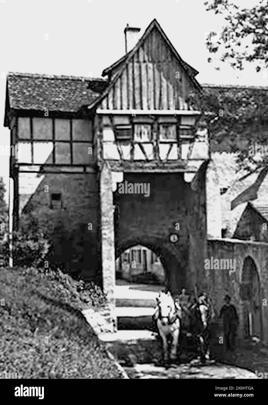 Bulwark horse hi-res stock photography and images - Alamy