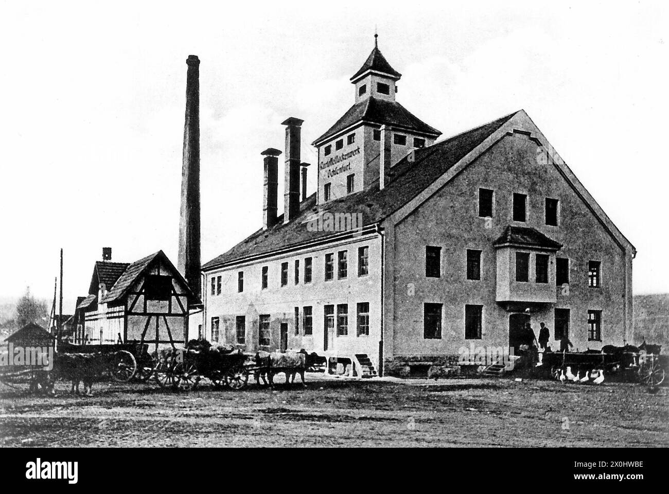 Potato flake plant [automated translation] Stock Photo - Alamy
