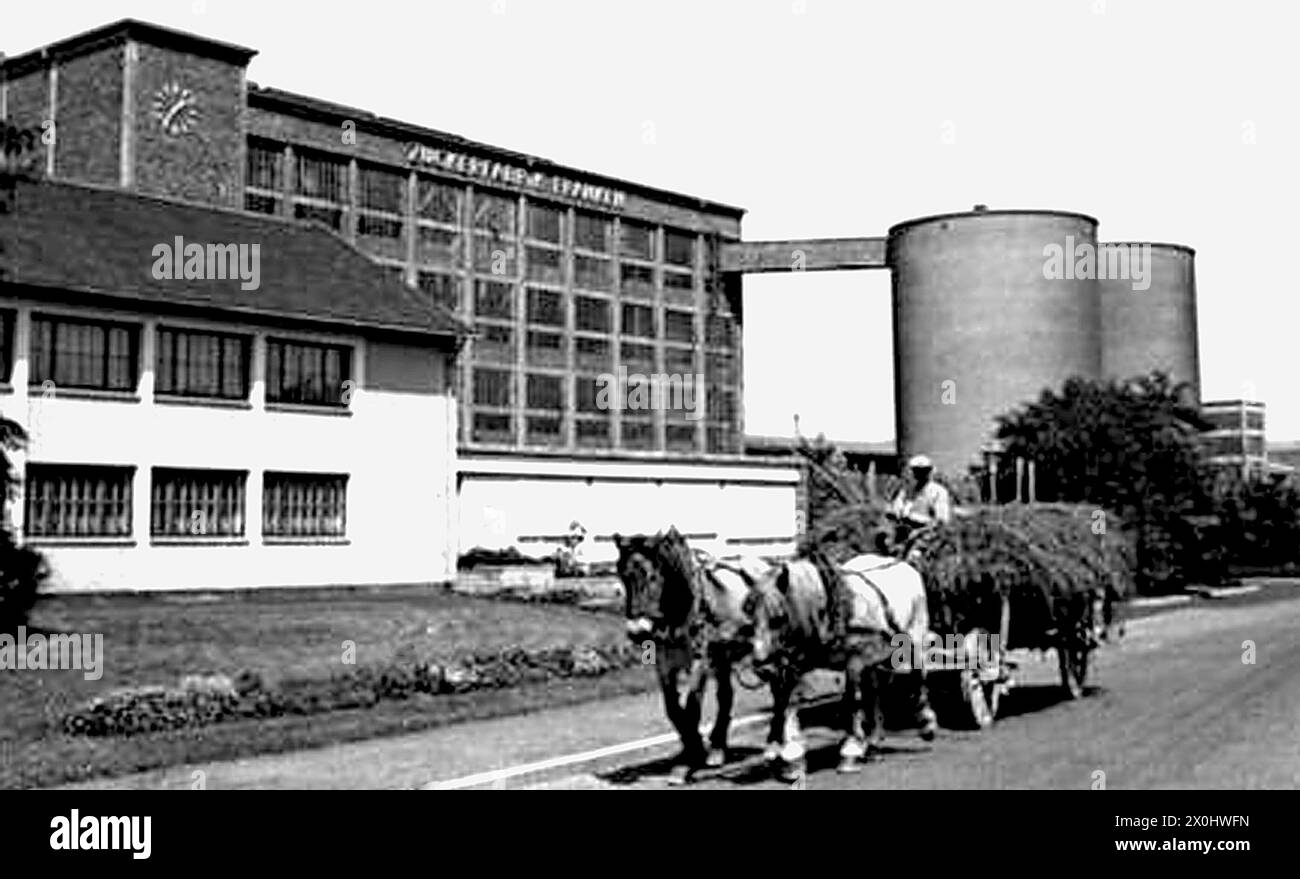 Horse-drawn carriage in front of sugar factory [automated translation ...