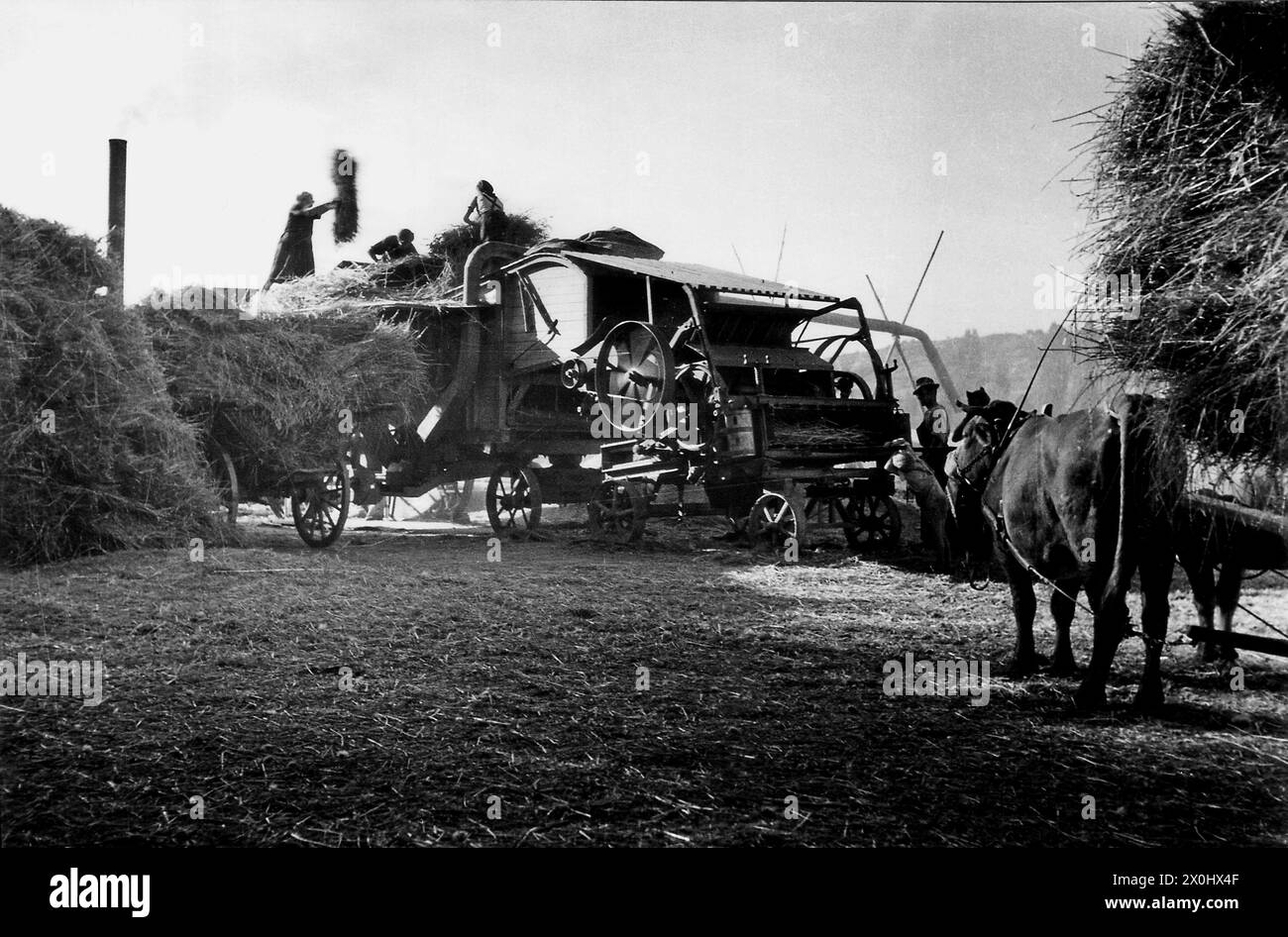 Farmers threshing on the threshing floor in Ochsenfurt am Main ...