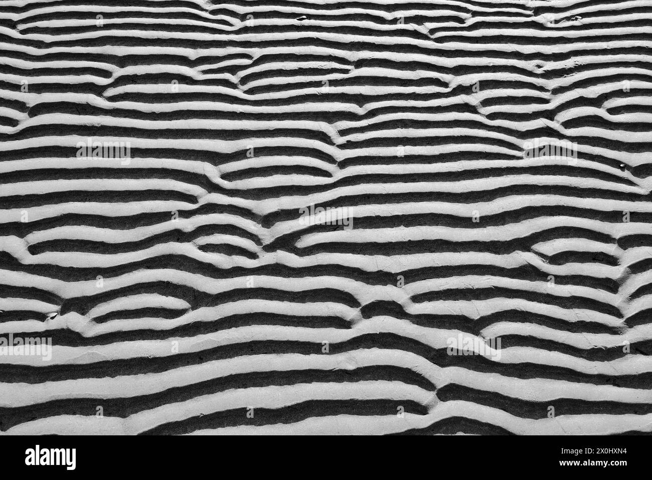 Sand formations during low tide on the Grande Côte before La Barre de ...