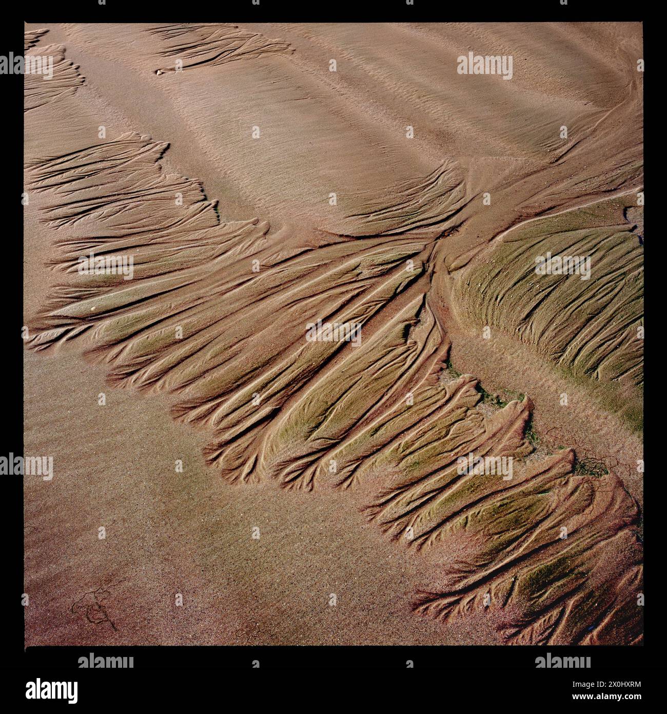 Sand formations during low tide on the Grande Côte before La Barre de ...