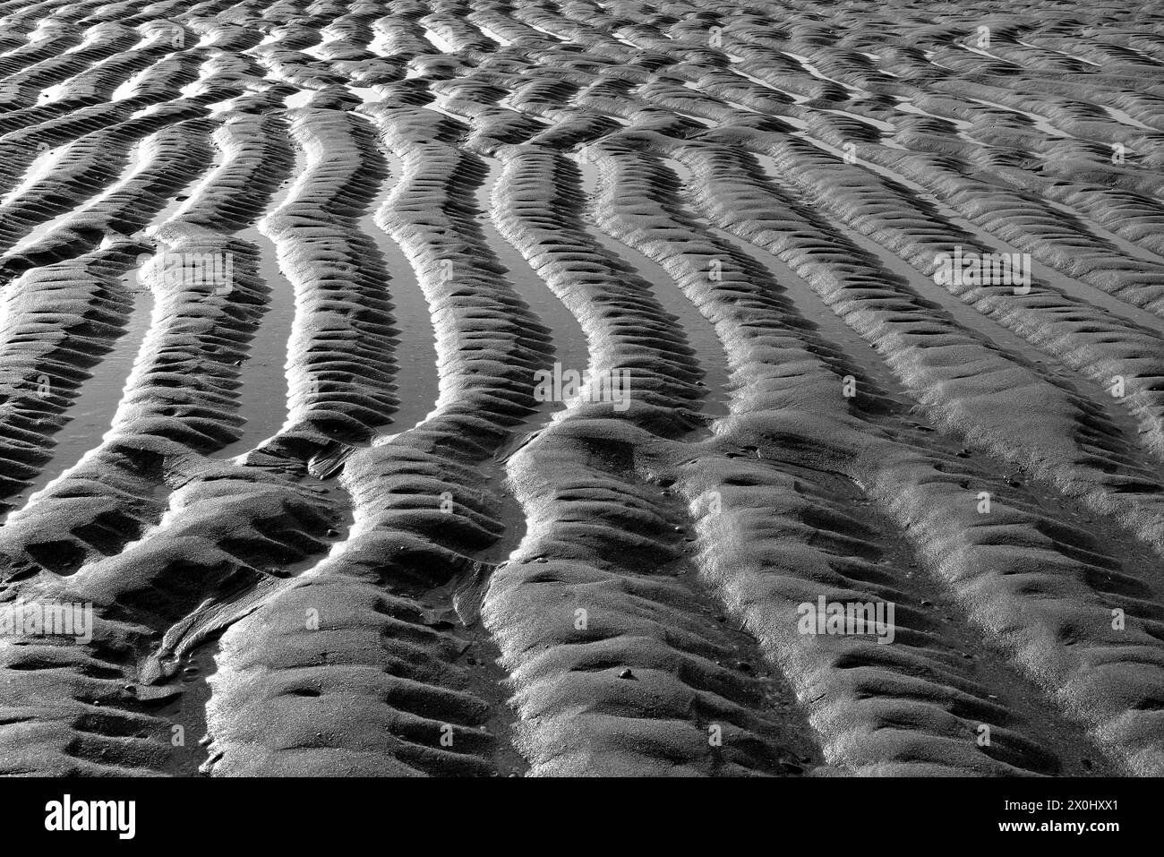 Sand formations during low tide on the Grande Côte before La Barre de ...