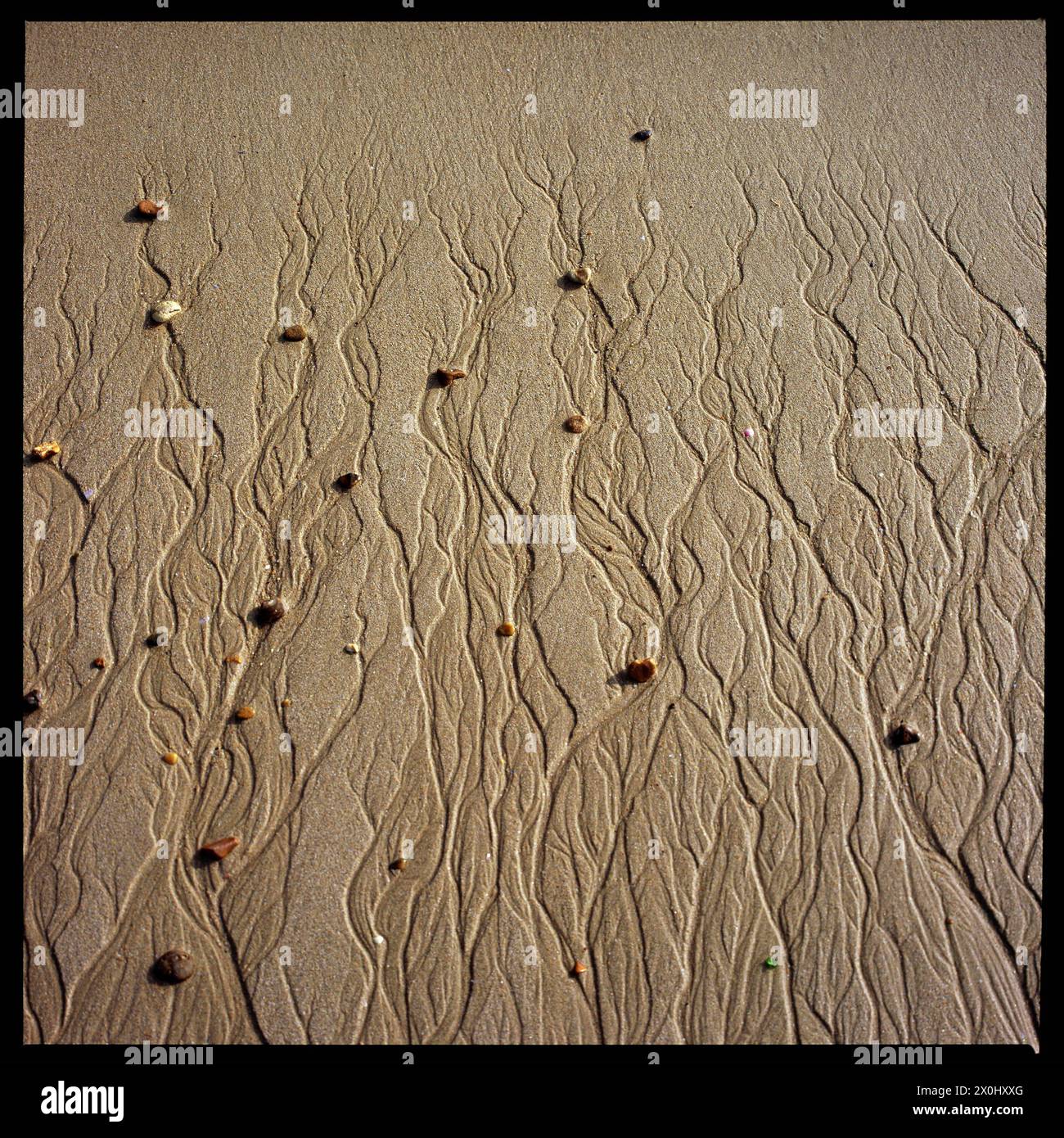 Sand formations during low tide on the Grande Côte before La Barre de ...