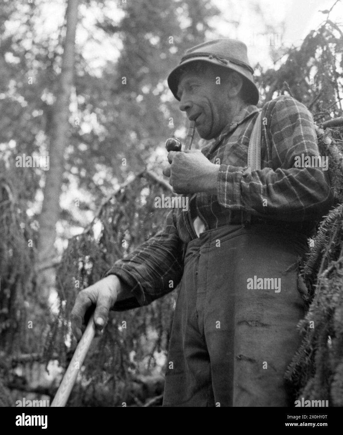A woodcutter in the forest near Elmau near Garmisch-Partenkirchen takes ...