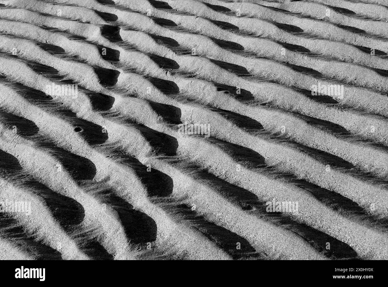 Sand formations during low tide on the Grande Côte before La Barre de ...