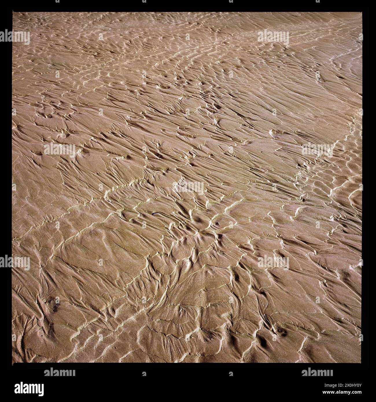 Sand formations during low tide on the Grande Côte before La Barre de ...