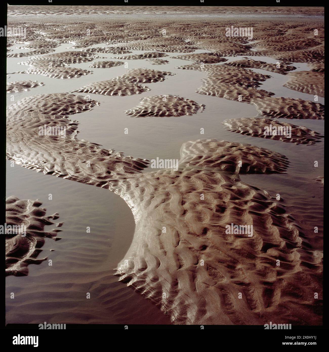 Sand formations during low tide on the Grande Côte before La Barre de ...