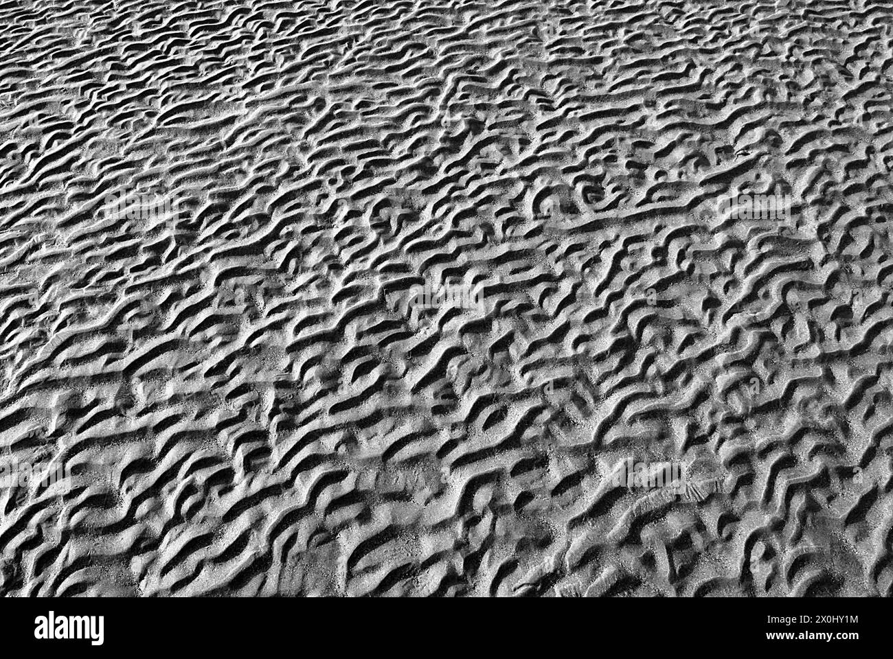 Sand formations during low tide on the Grande Côte before La Barre de ...