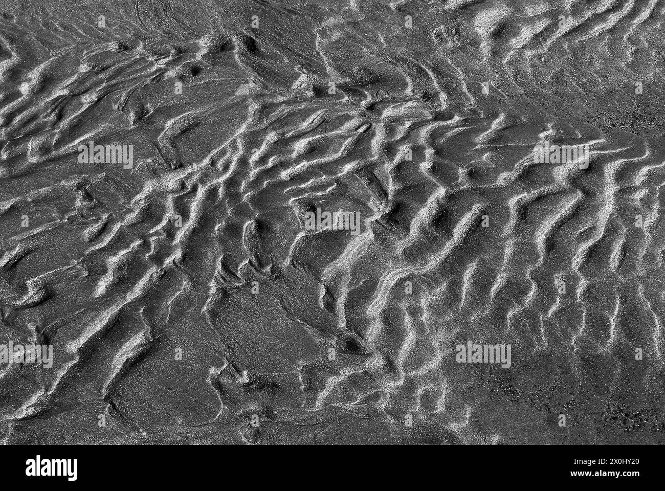 Sand formations during low tide on the Grande Côte before La Barre de ...
