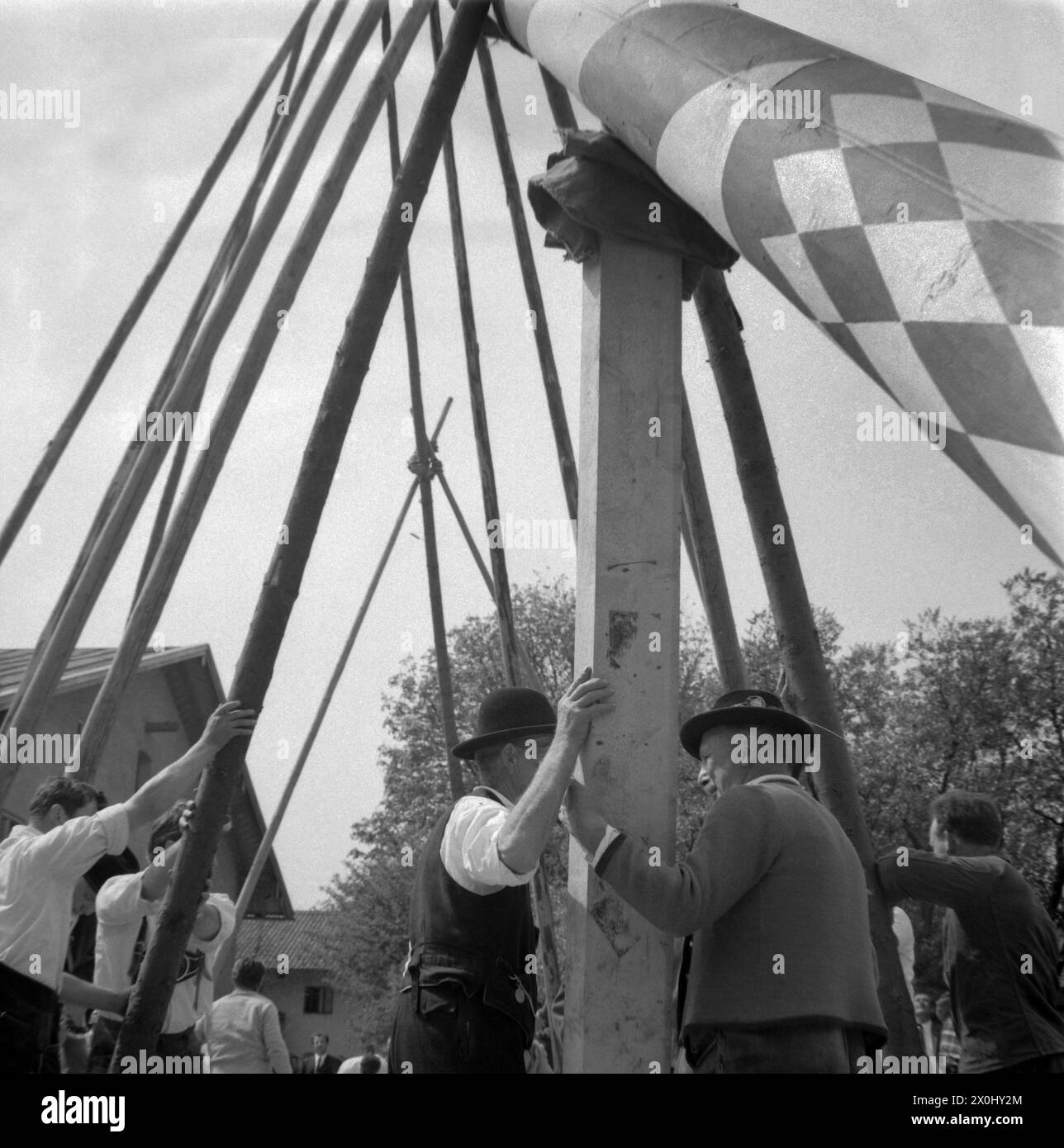 Men in traditional Bavarian costume put up the maypole in Glonn, Upper ...