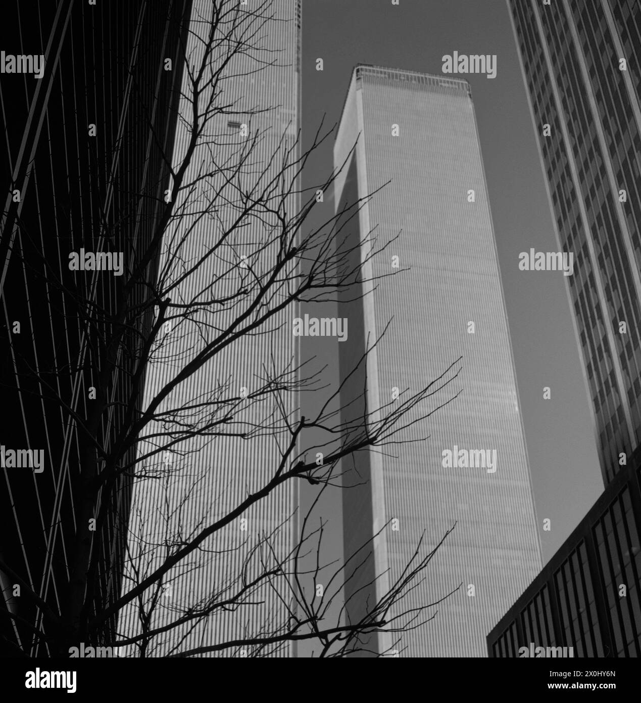 1973 new york Black and White Stock Photos & Images - Alamy