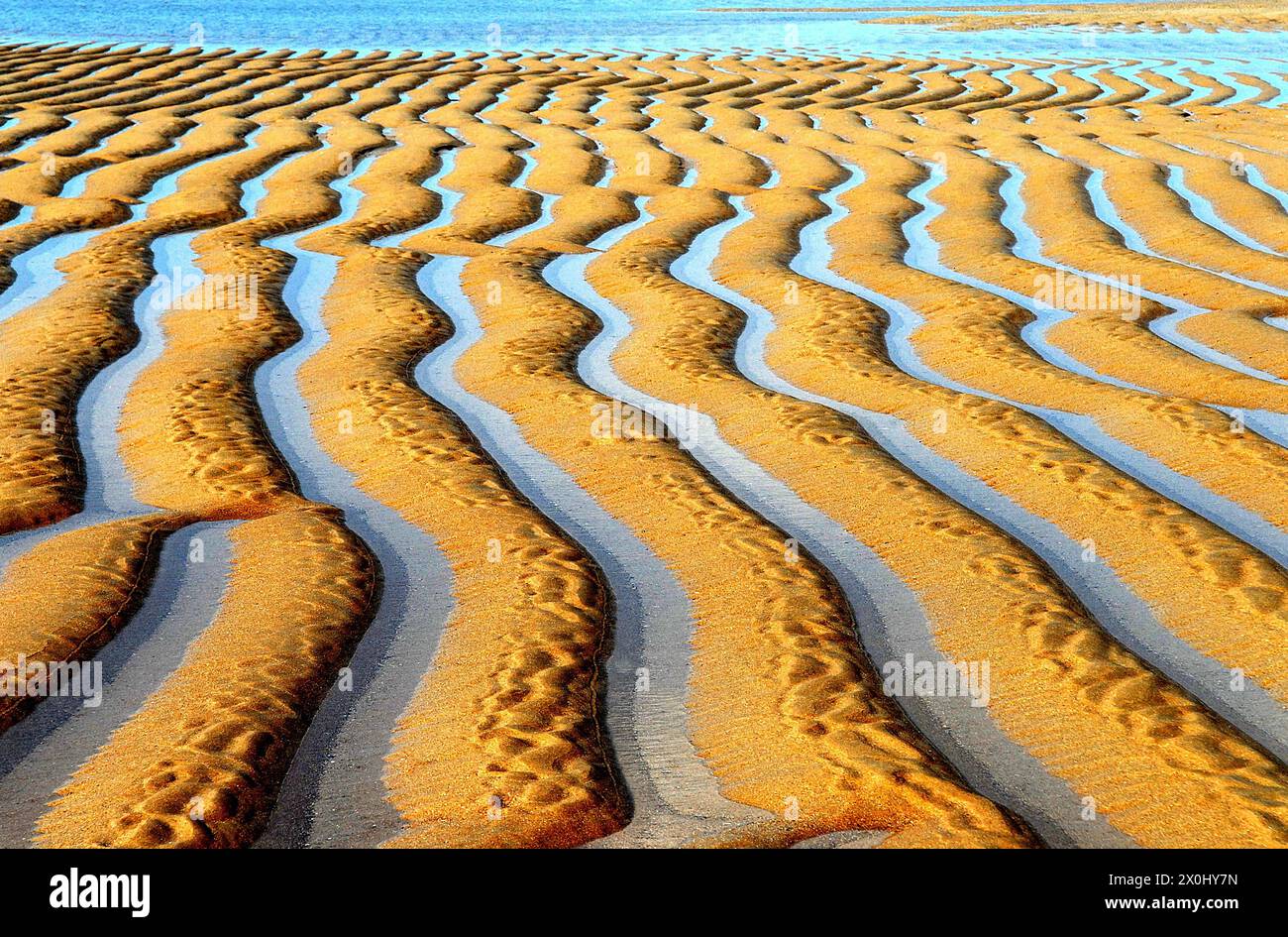 Sand formations during low tide on the Grande Côte before La Barre de ...
