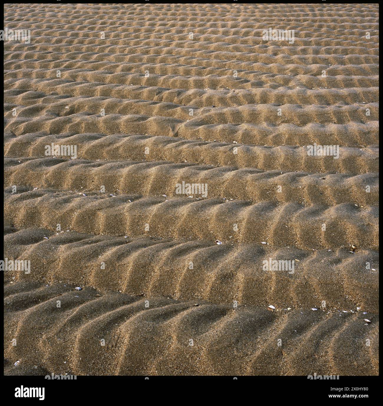 Sand formations during low tide on the Grande Côte before La Barre de ...