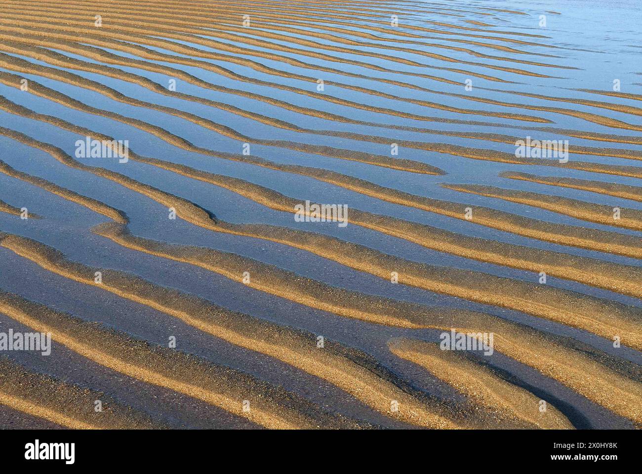 Sand formations during low tide on the Grande Côte before La Barre de ...
