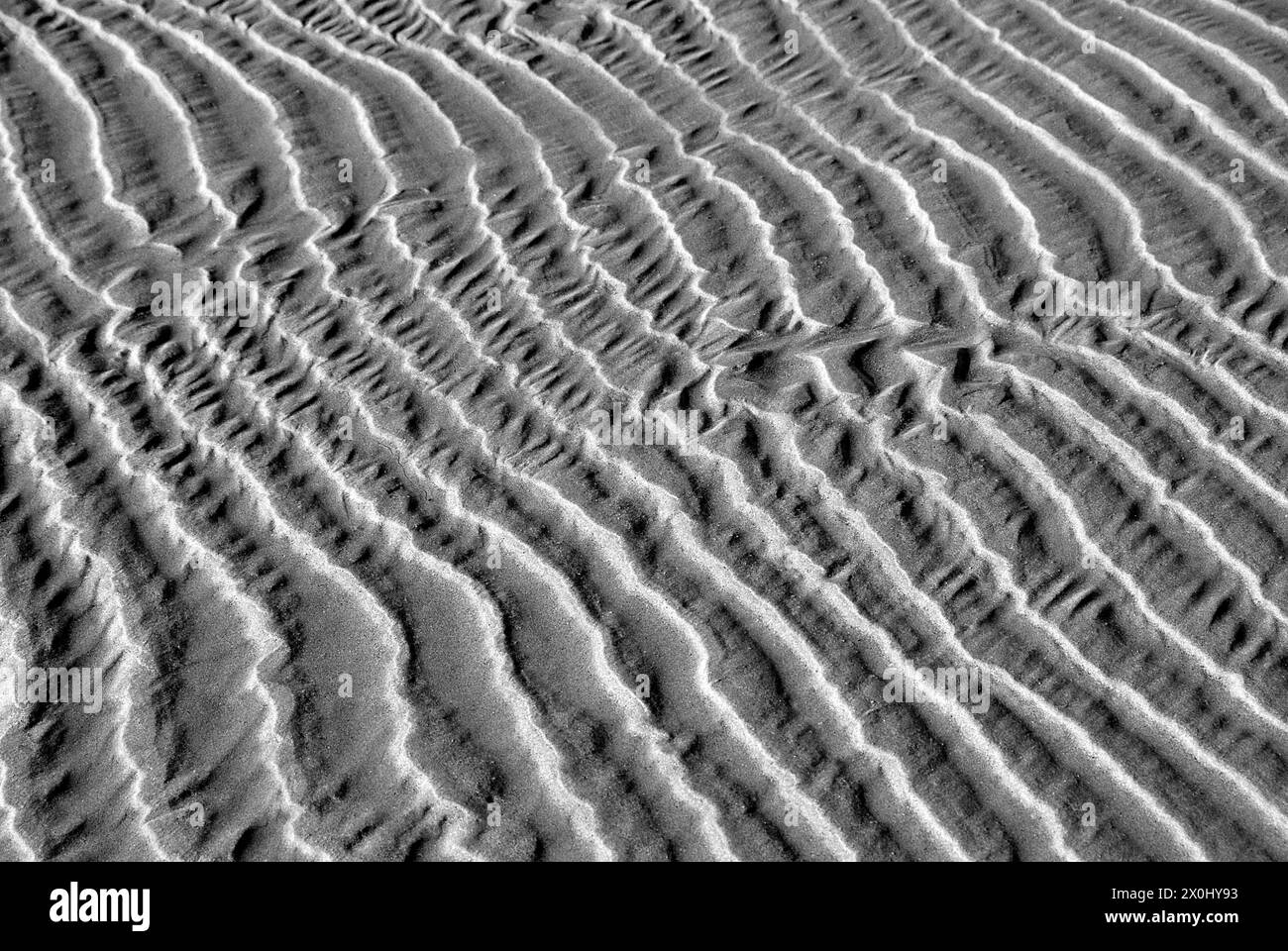 Sand formations during low tide on the Grande Côte before La Barre de ...