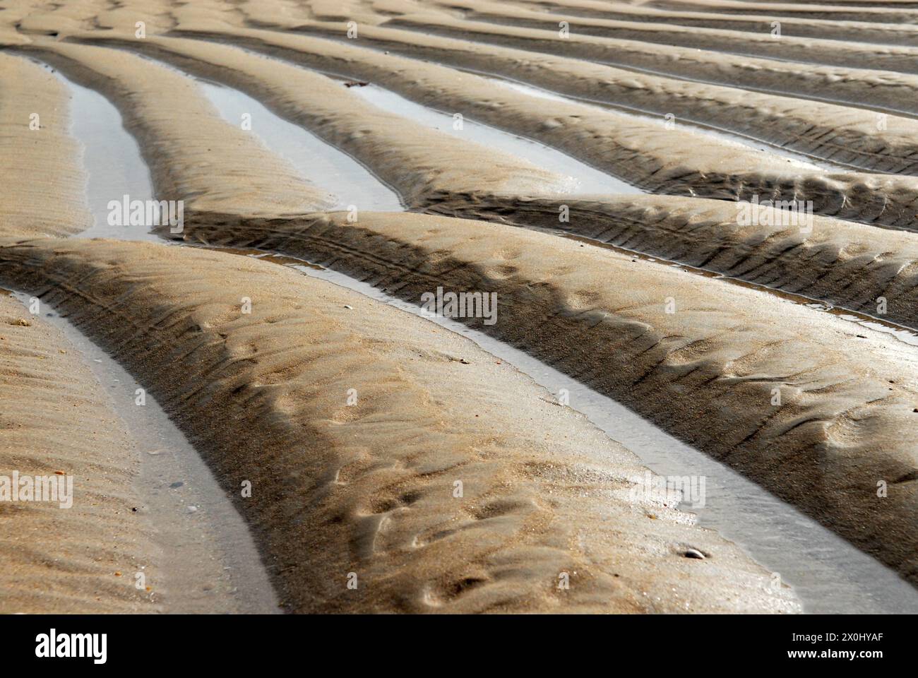 Sand formations during low tide on the Grande Côte before La Barre de ...