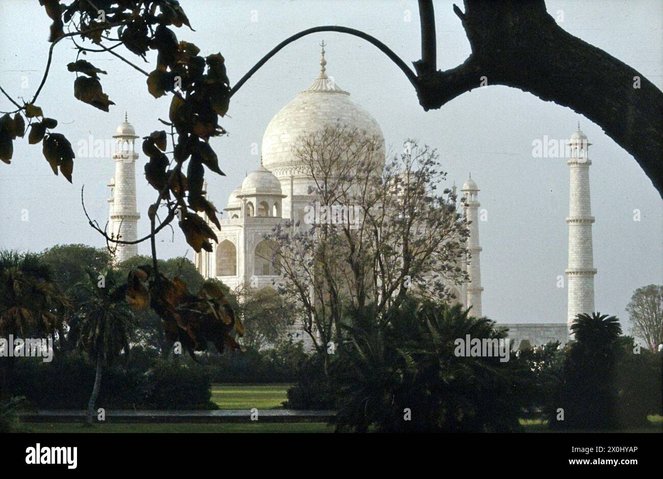 View of the Taj Mahal in the Indian metropolis Agra from the ...
