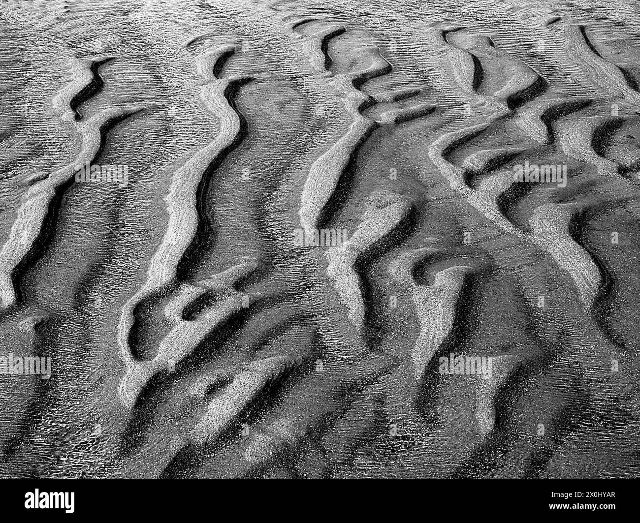 Sand formations during low tide on the Grande Côte before La Barre de ...