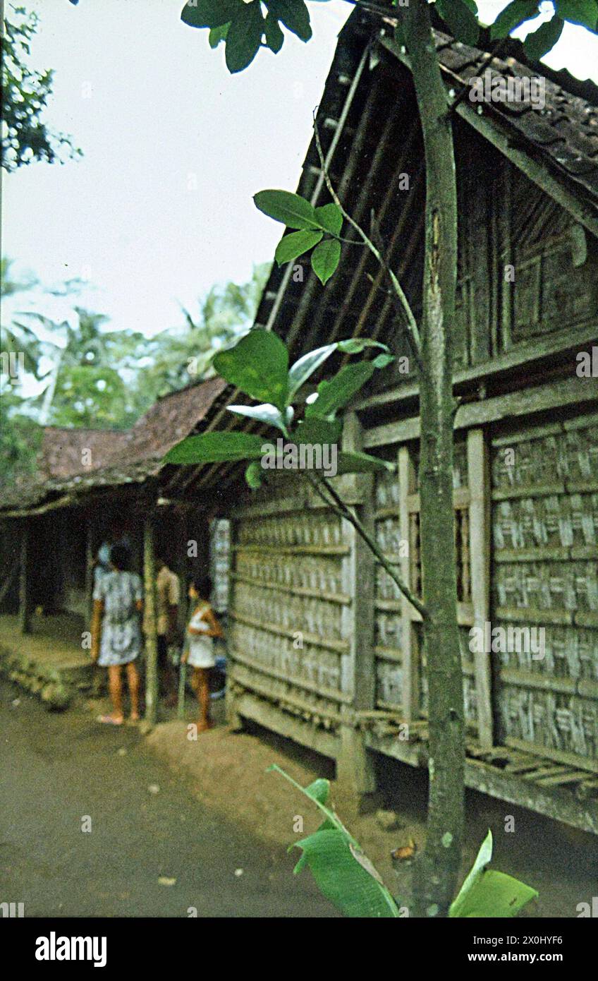 Wooden hut on stilts in a village near Yogyakarta in Indonesia. The ...