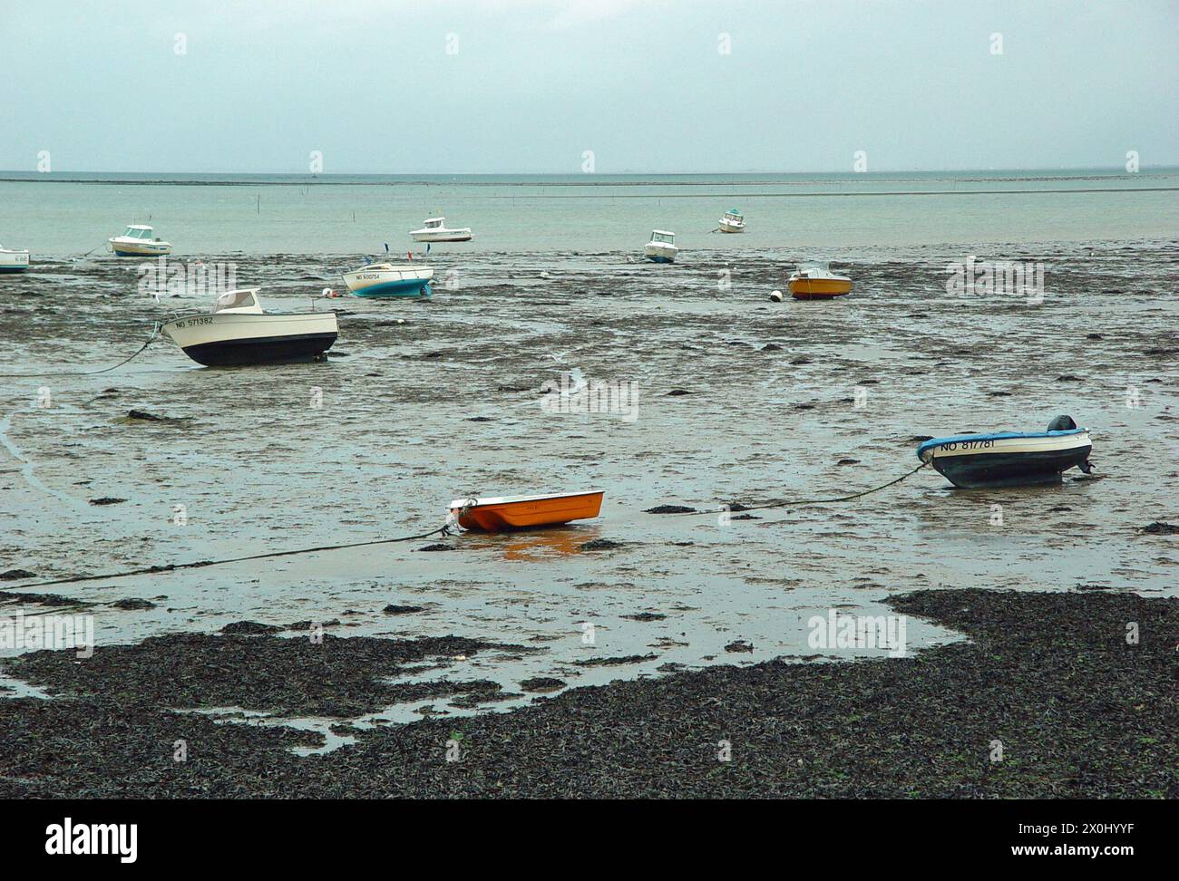 Lying on silt hi-res stock photography and images - Alamy