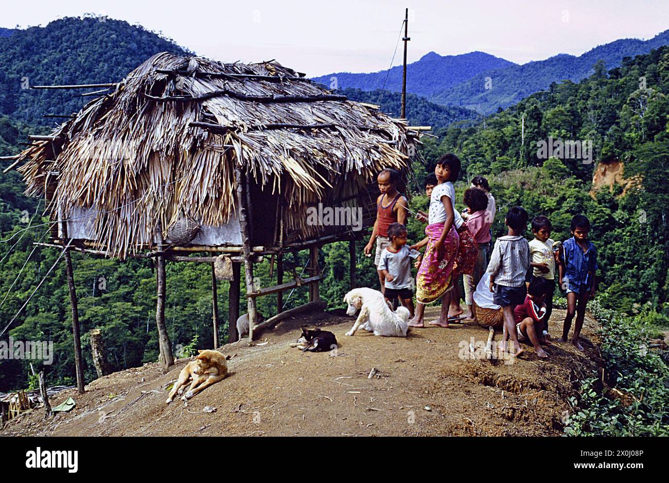 Hill family in front of hi-res stock photography and images - Alamy
