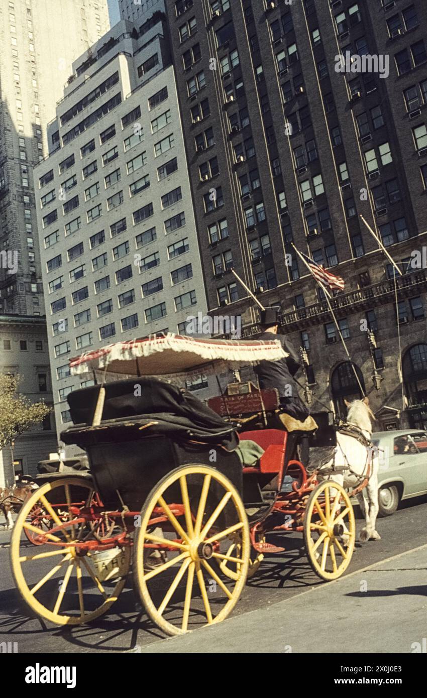 Carriage with coachman near Central Park [automated translation] Stock ...