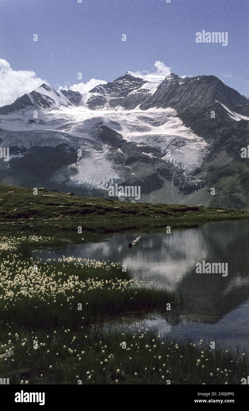 Mountain lake, in which the mountains of the Bernina group and the ...