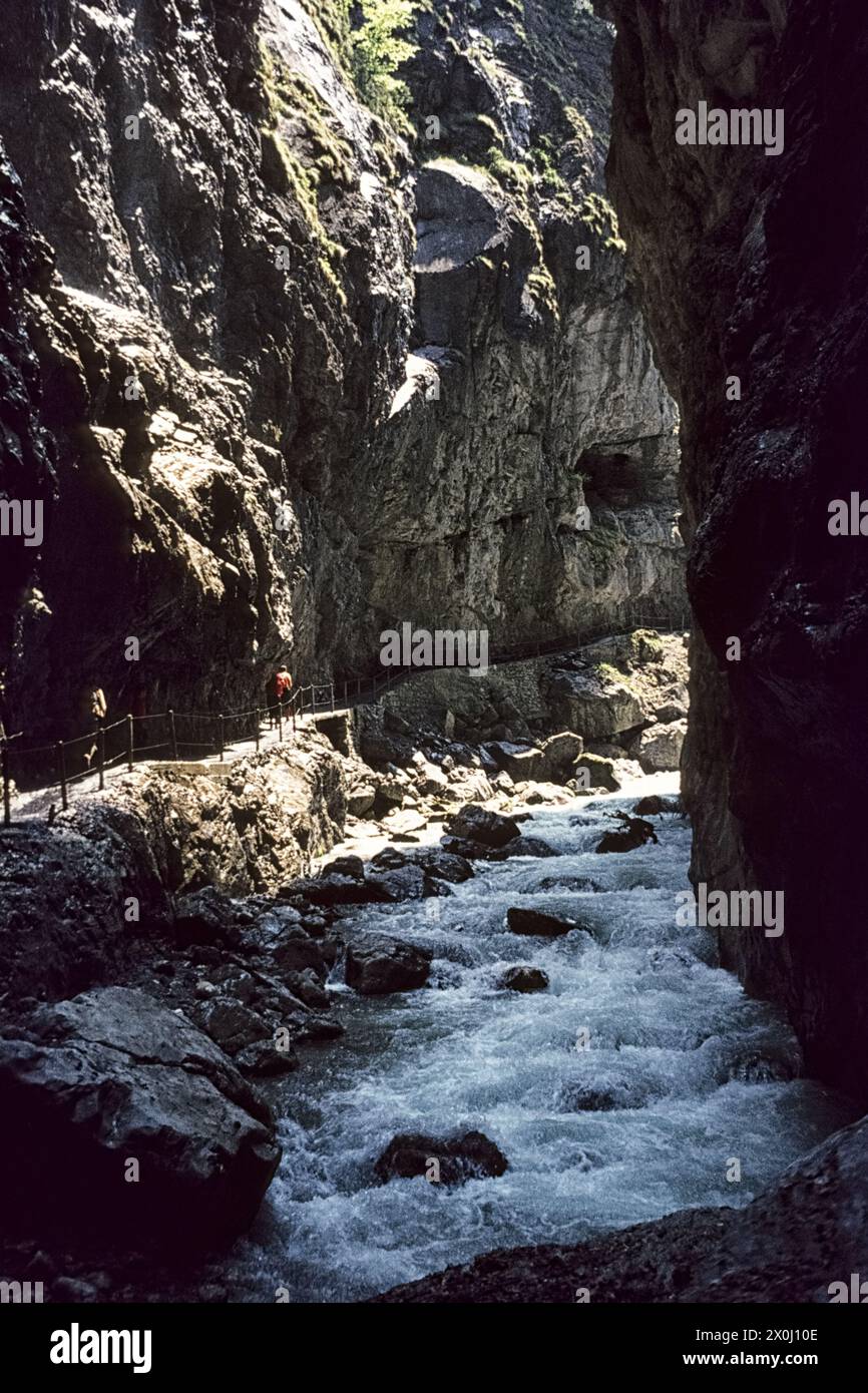 Path along the Partnach [automated translation] Stock Photo - Alamy