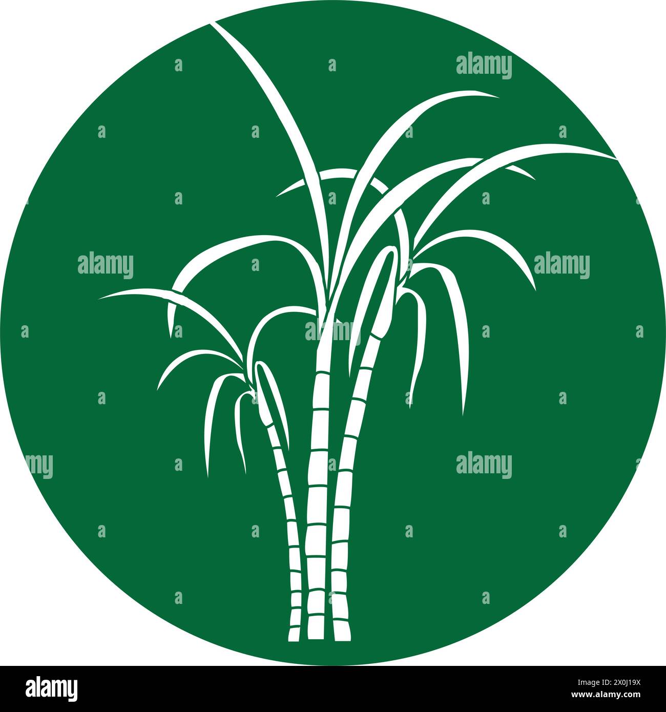 Sugar cane production illustration Stock Vector Images - Alamy