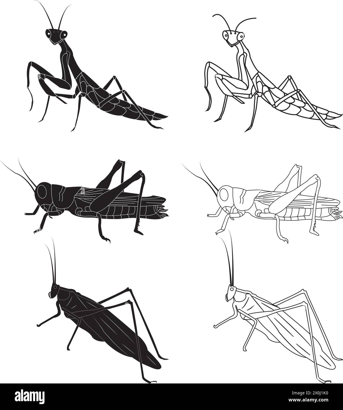 grasshopper icon vector illustration simple design Stock Vector Image ...