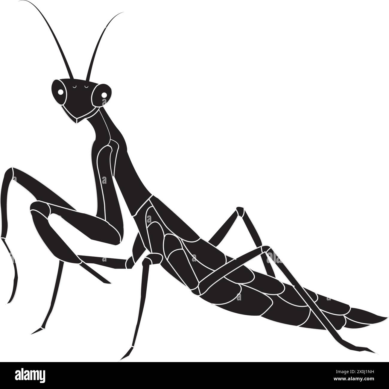 grasshopper icon vector illustration simple design Stock Vector Image ...