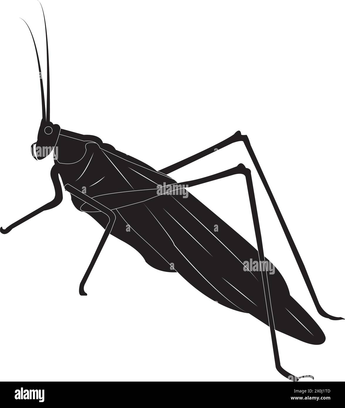 grasshopper icon vector illustration simple design Stock Vector Image ...