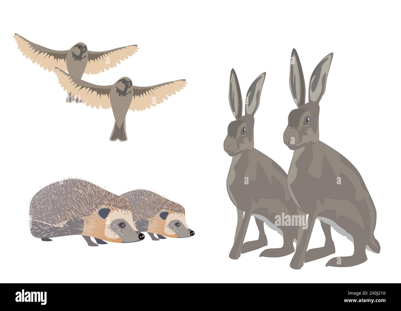 Spiny animals Cut Out Stock Images & Pictures - Alamy