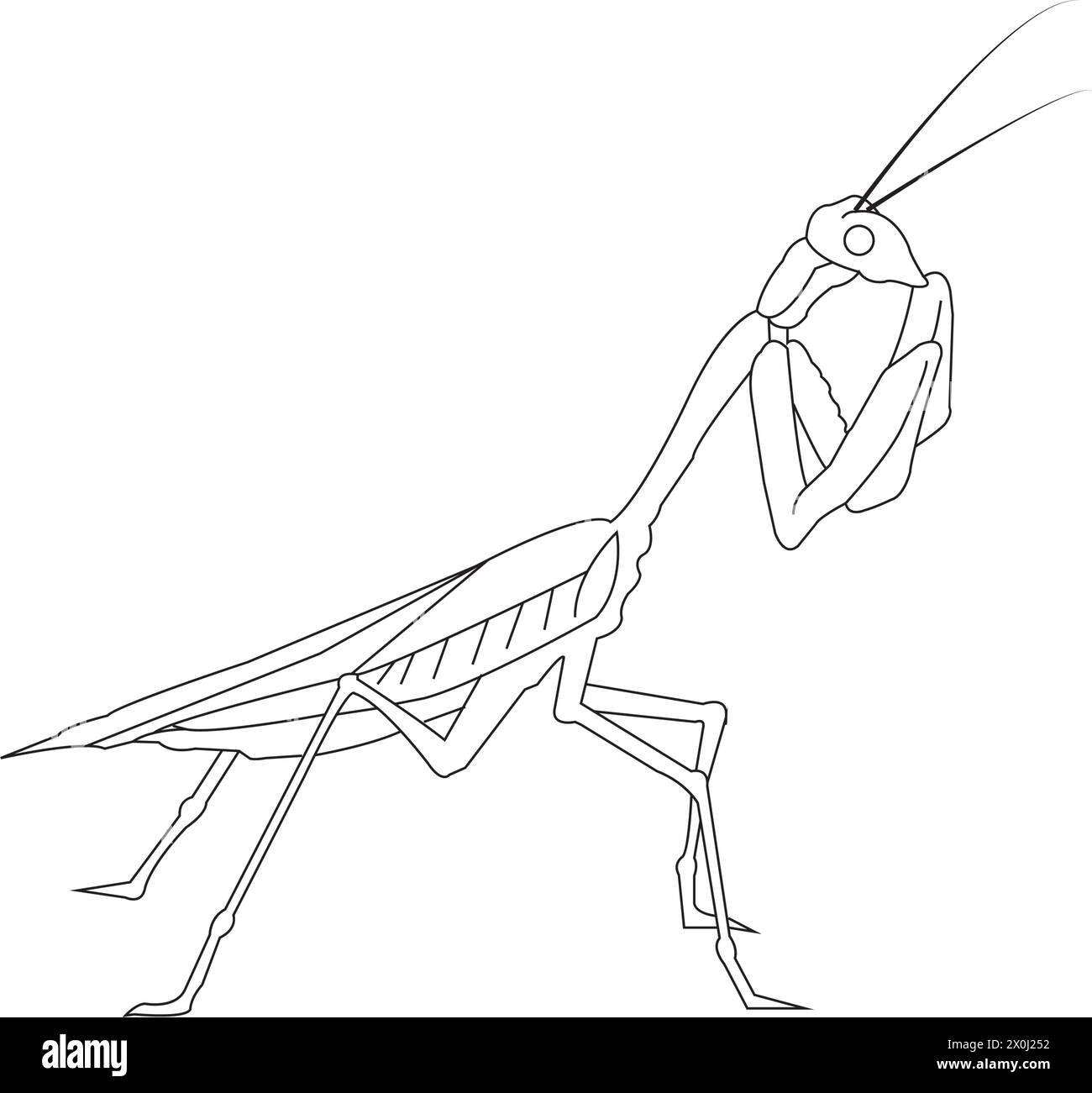 grasshopper icon vector illustration simple design Stock Vector Image ...