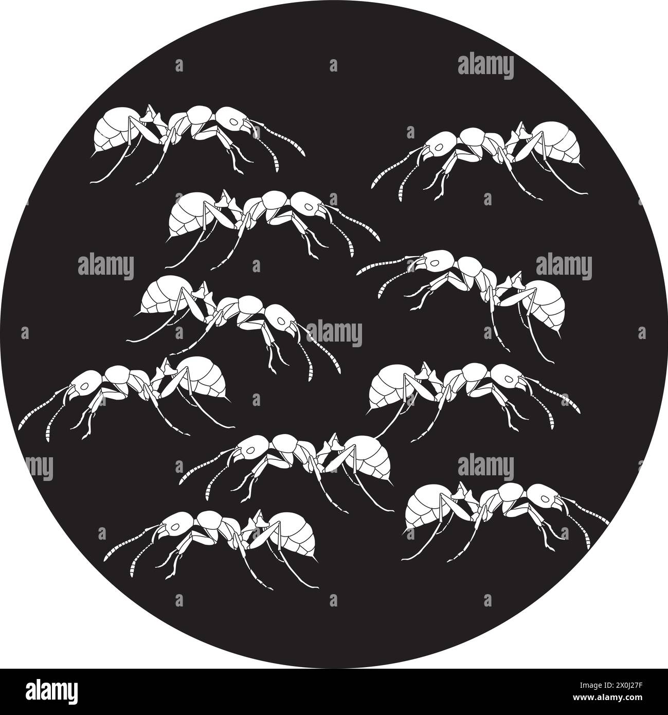 Ant icon sign vector symbol.Vector illustration Stock Vector Image ...
