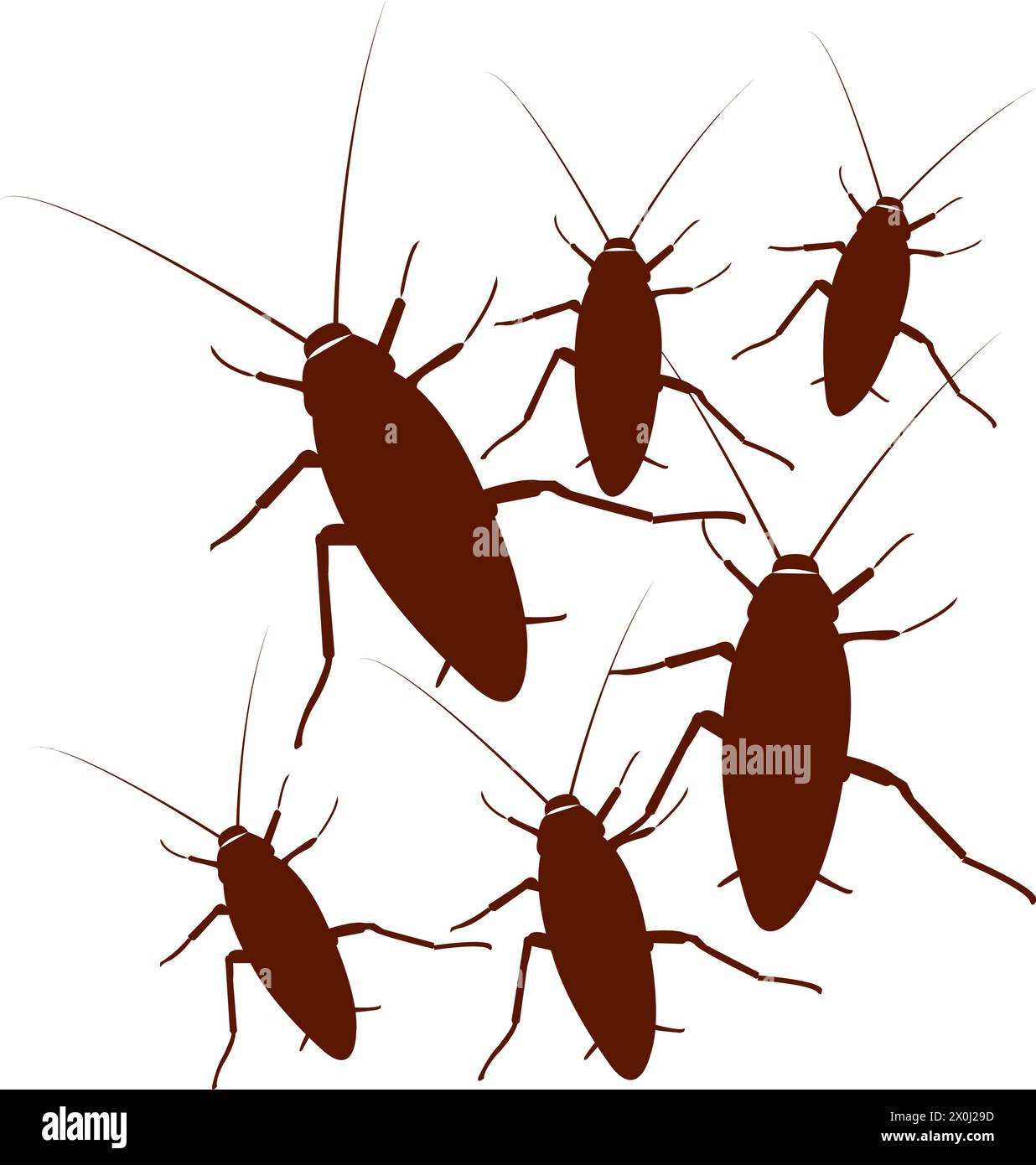 cockroach icon vector illustration symbol design Stock Vector Image ...