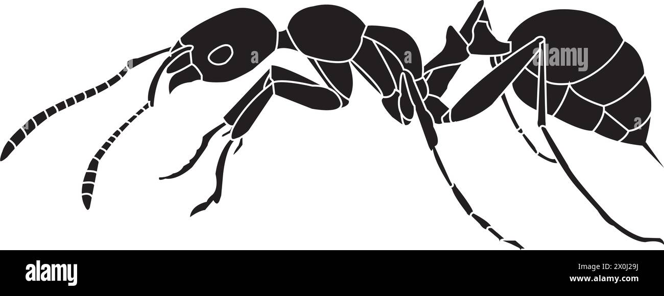 Ant icon sign vector symbol.Vector illustration Stock Vector Image ...
