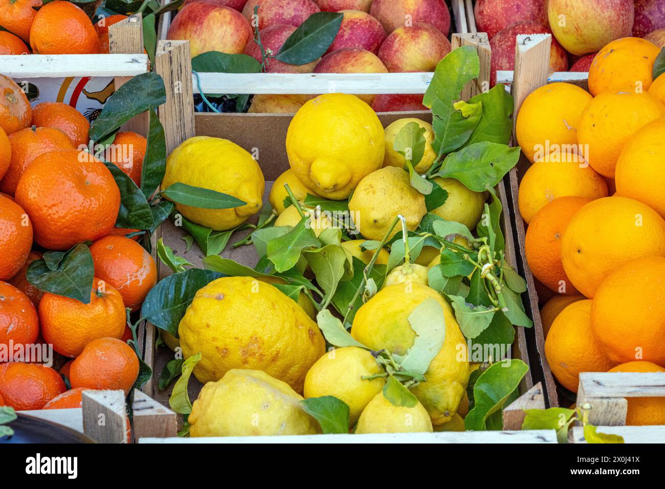 Citrus fruits in boxes for sale at a market Stock Photo - Alamy