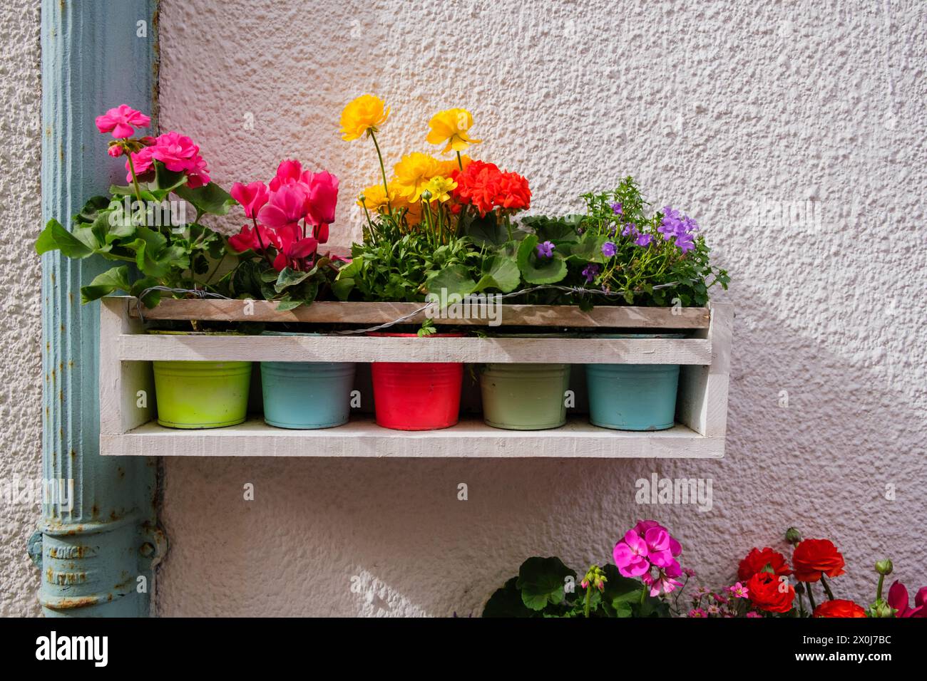 A window box overflowing with various potted plants is positioned next ...