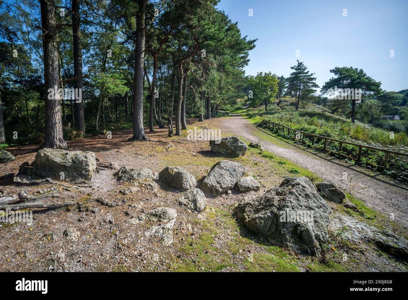 lickey hills country park west midlands england uk Stock Photo - Alamy