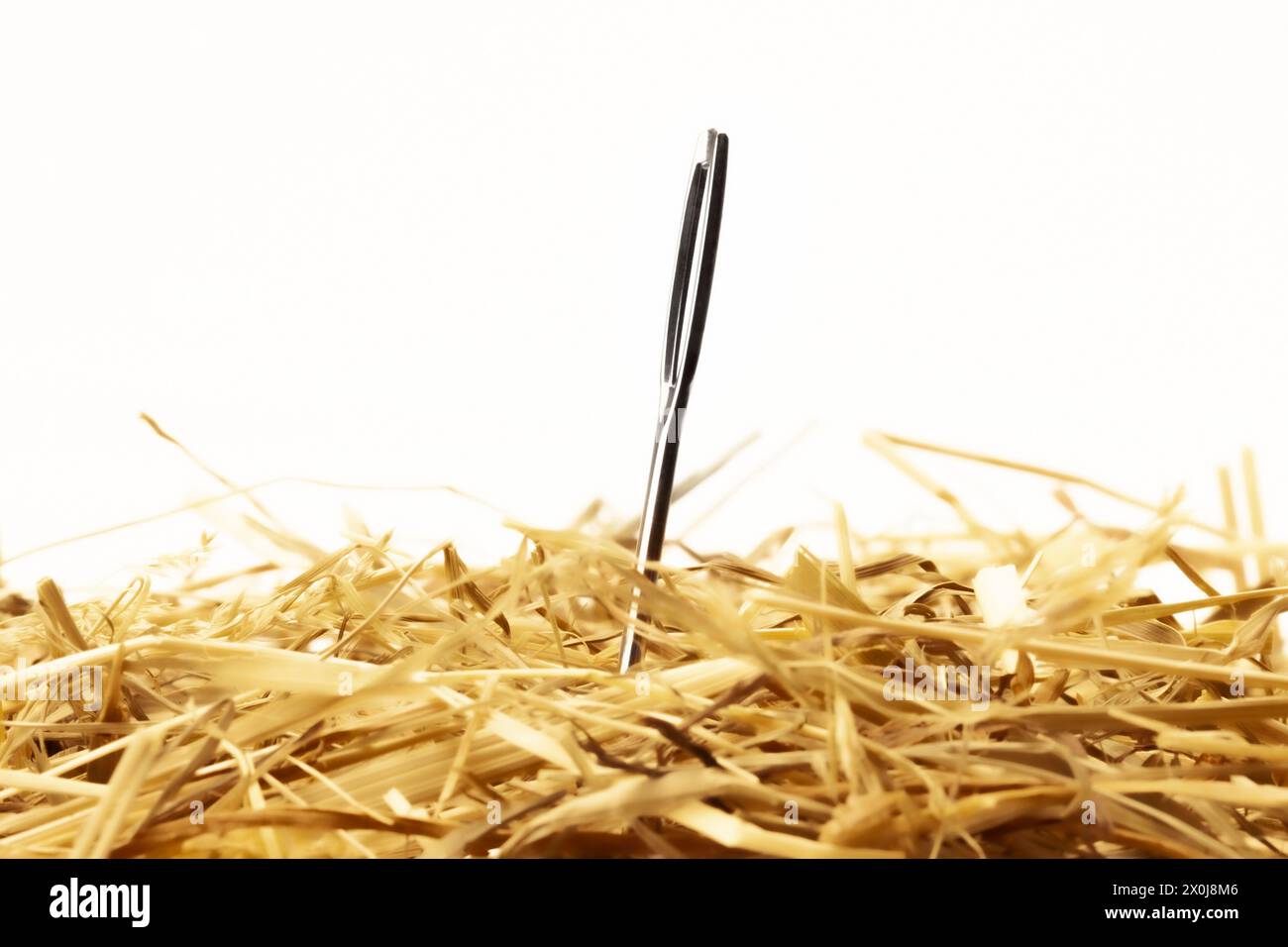 Needle in a haystack against a white background Stock Photo - Alamy